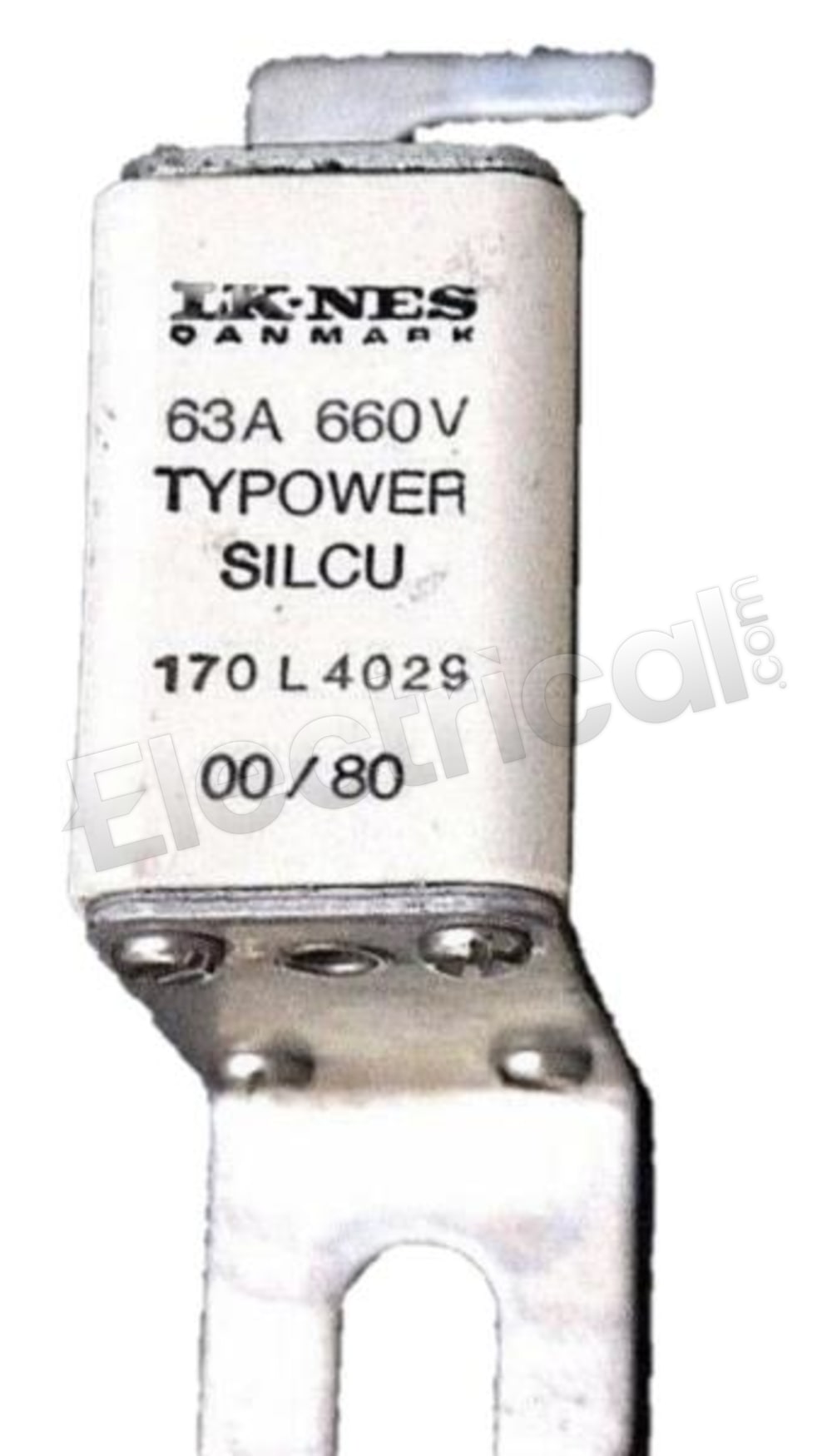 Schneider Electric 170-L4029 Low Voltage Fuse