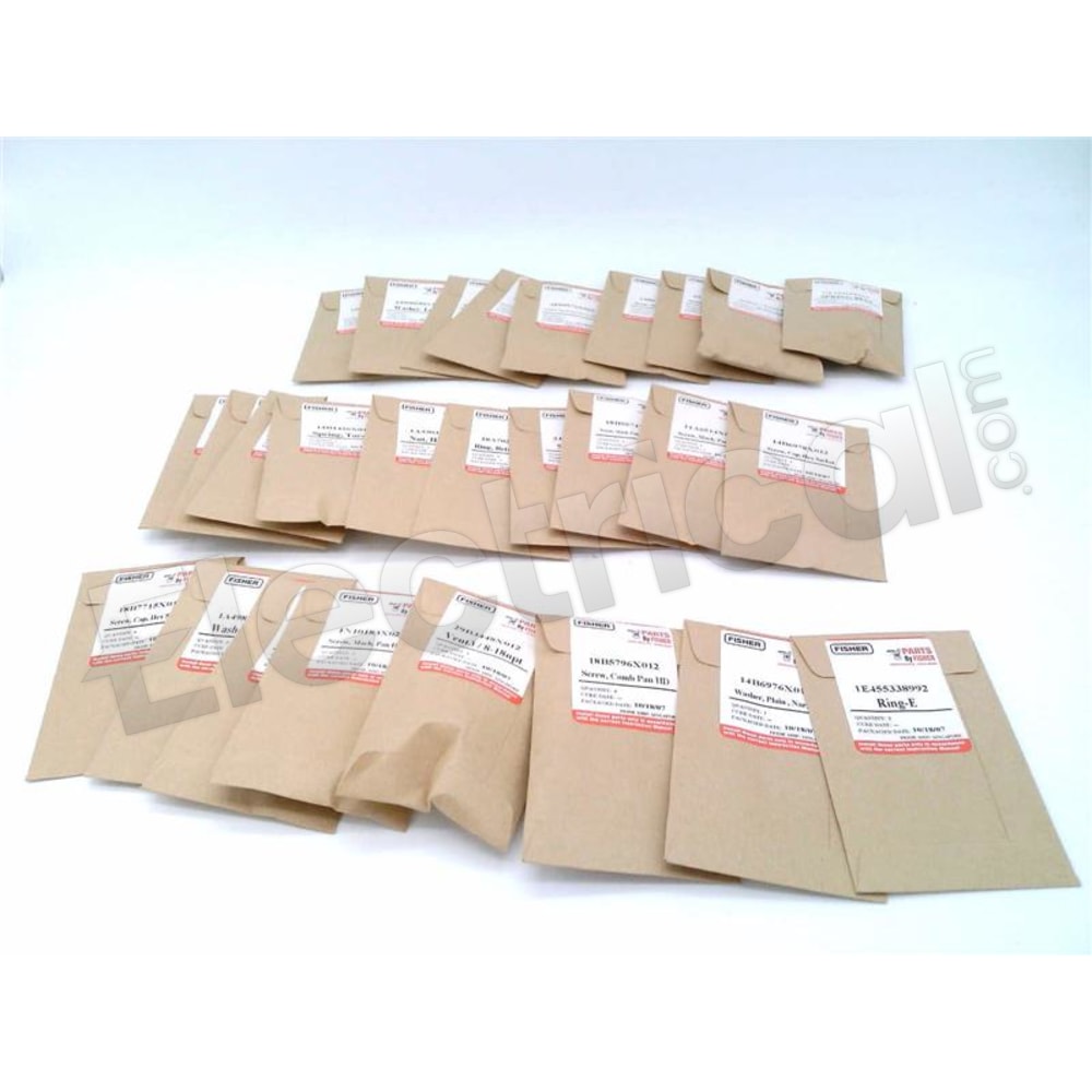 19B5403X012 Emerson Valve Repair Kit Valve