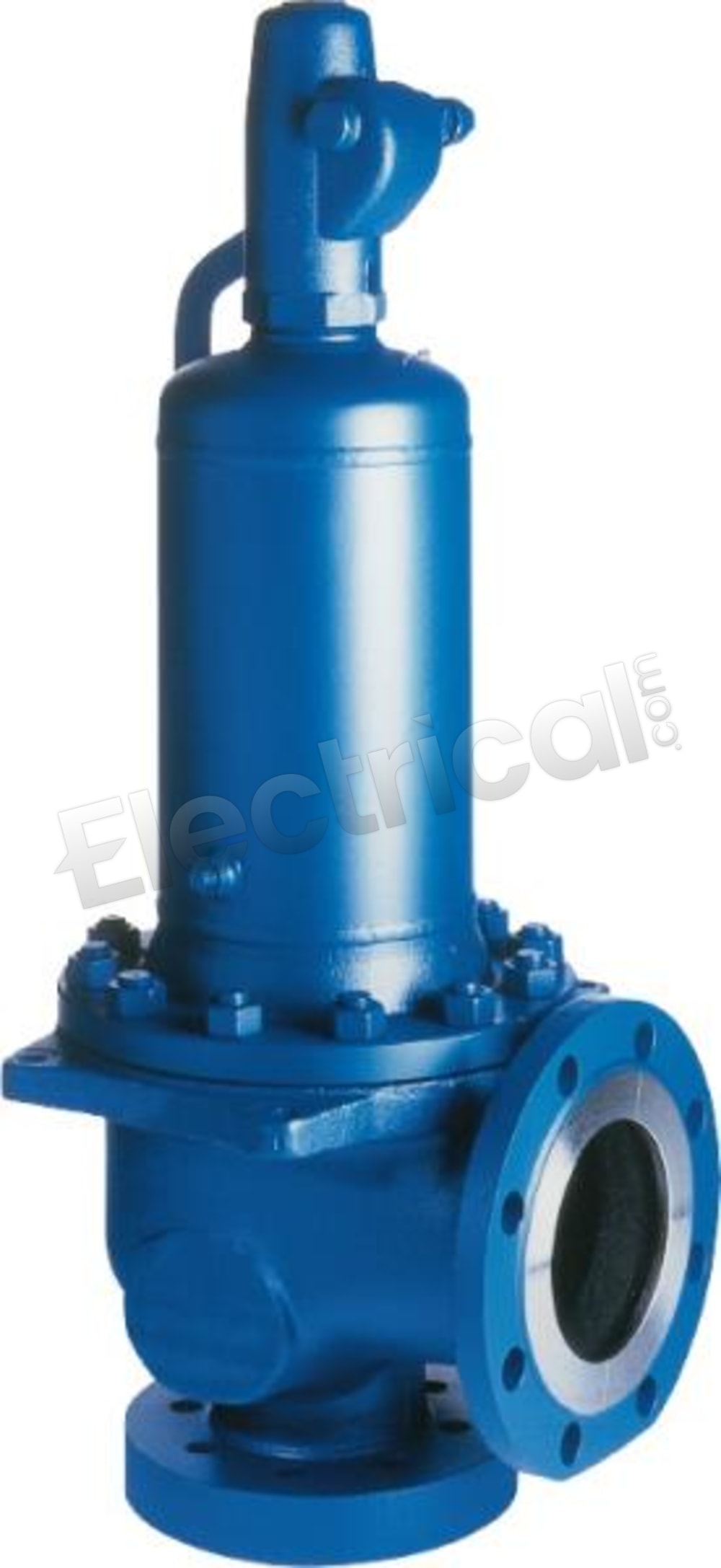 Leser 4412.4874 Control Valve Valve