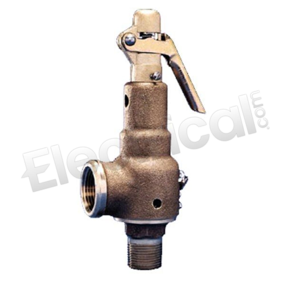 Kunkle 6010FE-210 Control Valve Valve