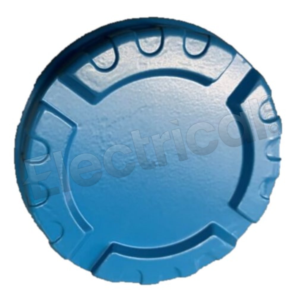 71247838 Endress+Hauser Fuse Part And Accessory Fuse