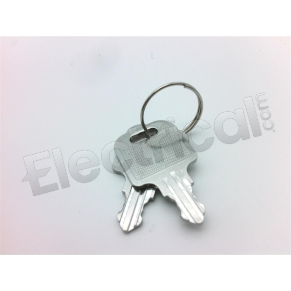 Fuji Electric AR9C022-A Key/Key Caddy/Key Set Building Maintenance