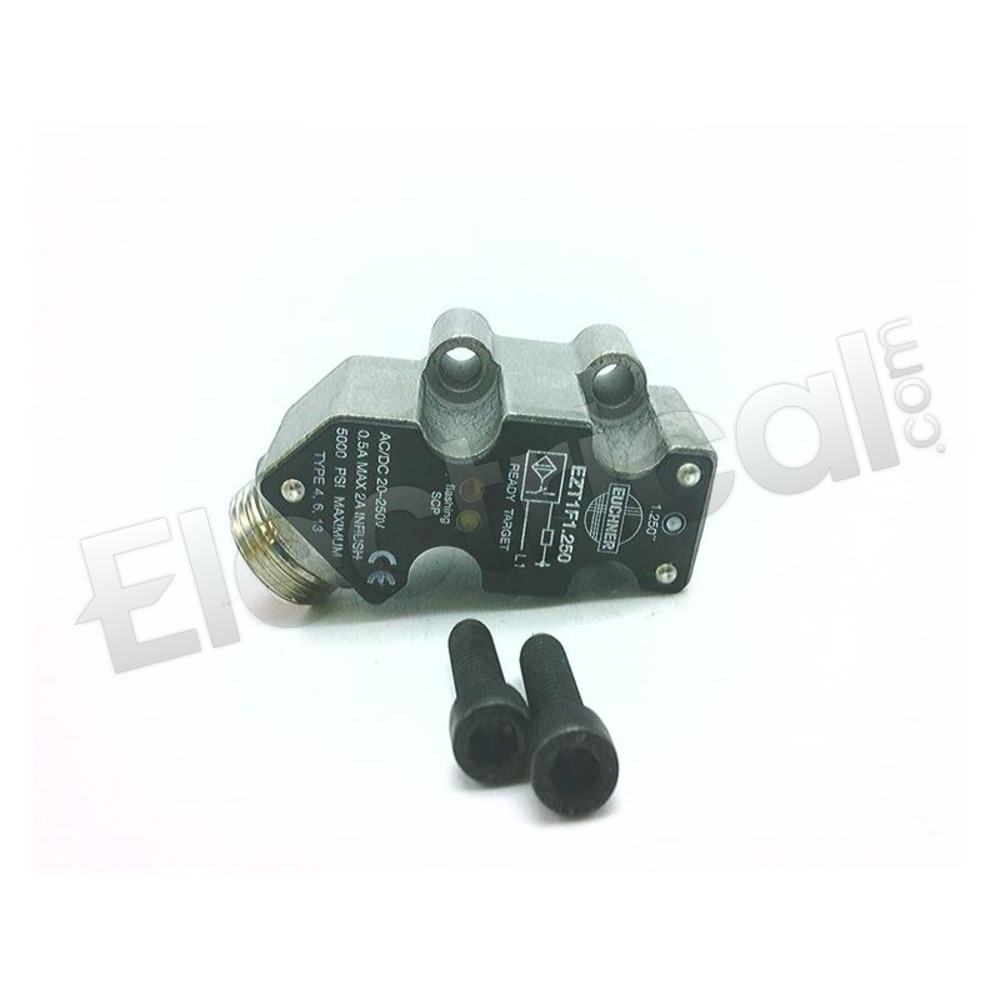 Euchner EZT1F1.250-V Sensor Automation