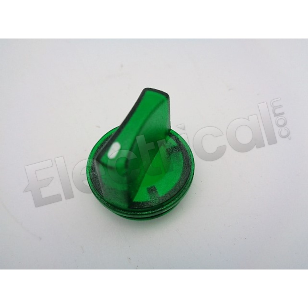 Springer Controls N5ACGSLV-EACH Automation Switch Automation