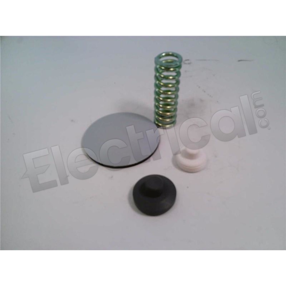 Neptune RK002 Valve Repair Kit Valve