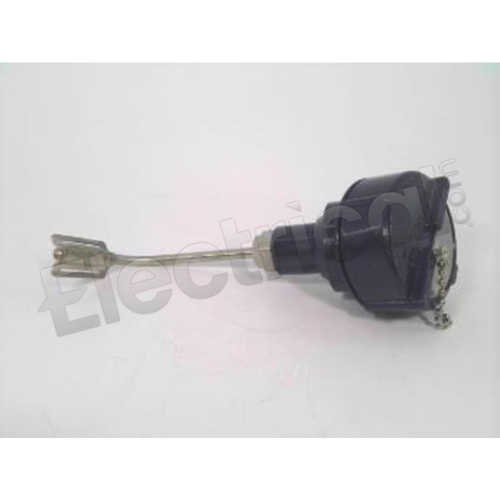 Thermon RTD-100-S Sensor Automation