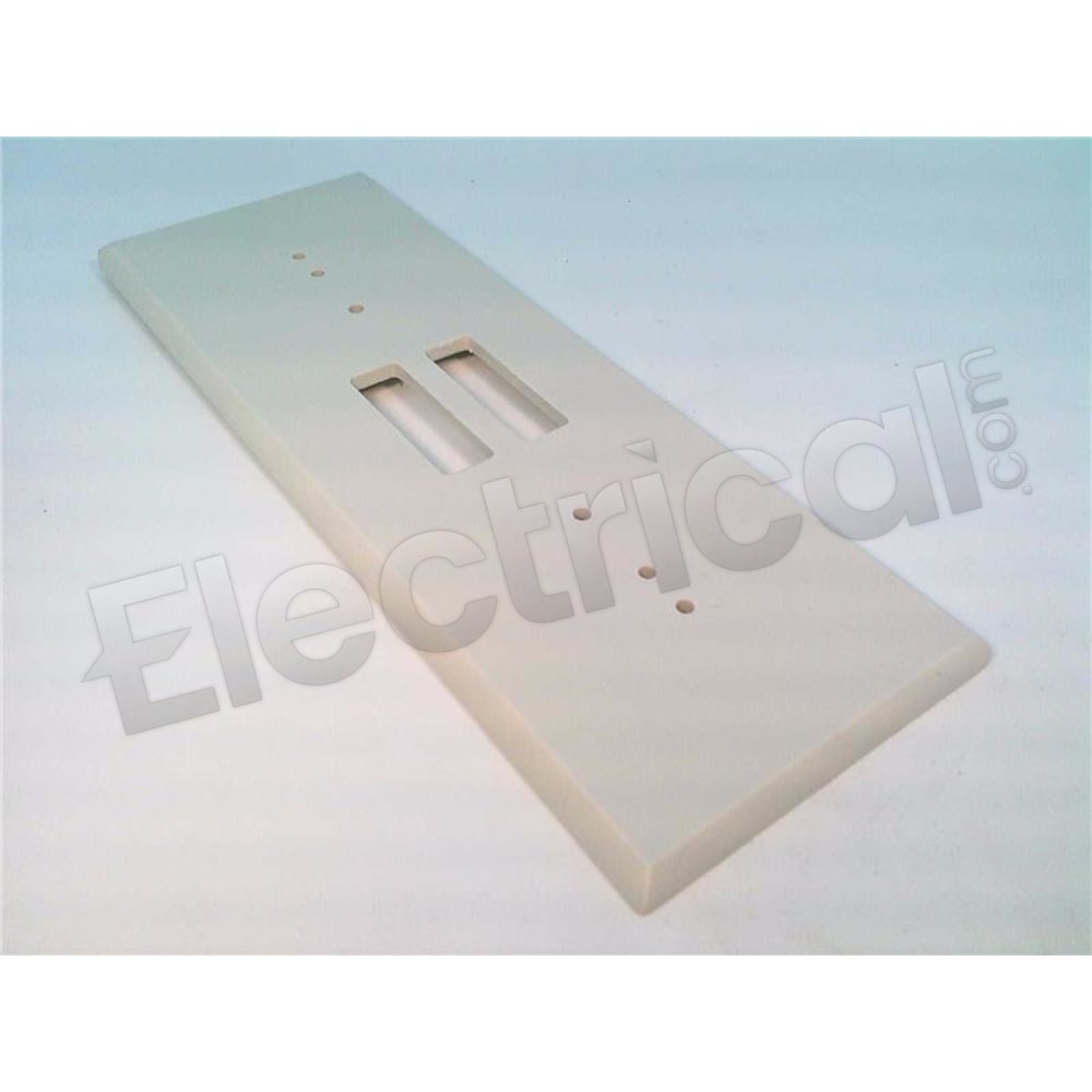 Detection Systems TP160 Wall Plate Electrical Product