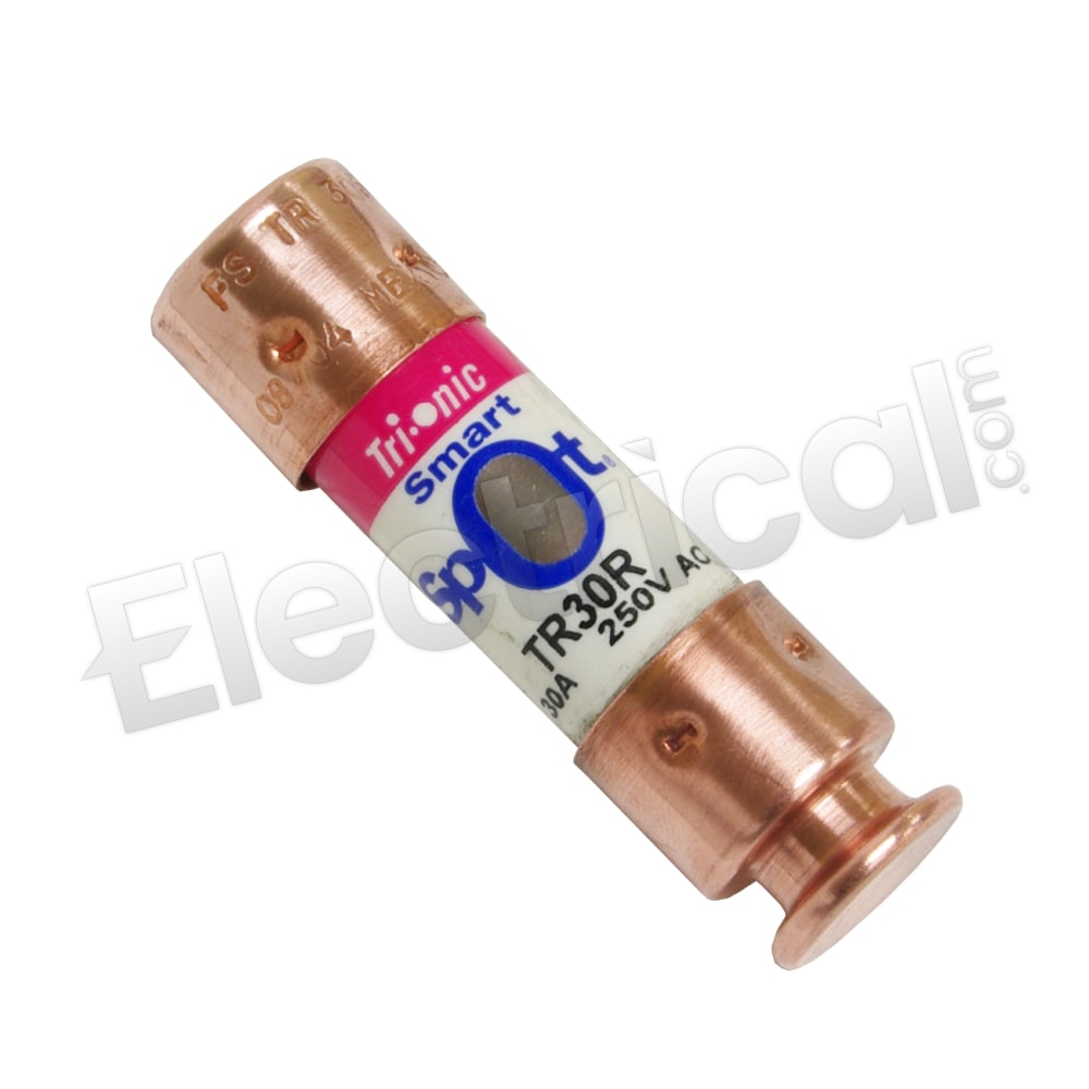 Ferraz Shawmut TR30R Low Voltage Fuse